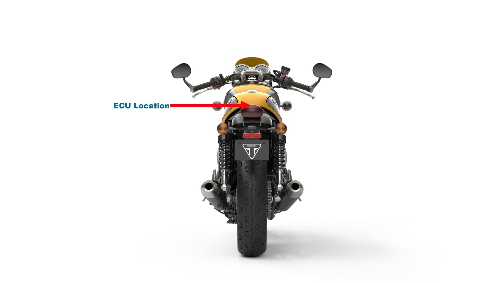 Triumph Street Cup | DNK TuneWorks